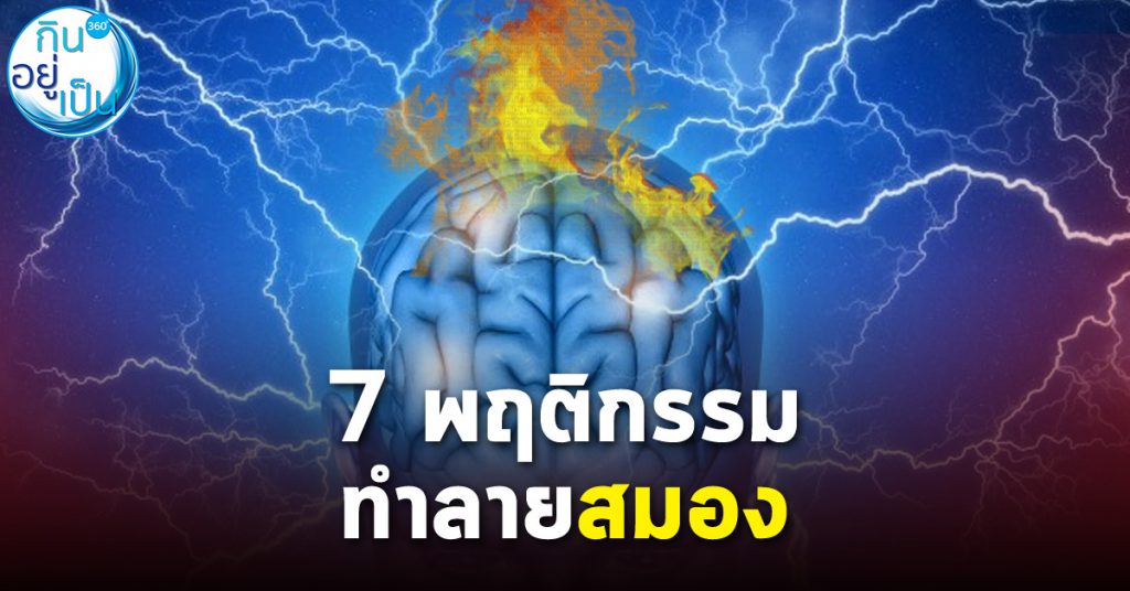 7 พฤติกรรมทำลายสมอง - kinyupen