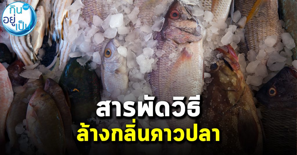 7 วิธีดับกลิ่นคาวปลาติดมือด้วยของใช้ในครัว - kinyupen