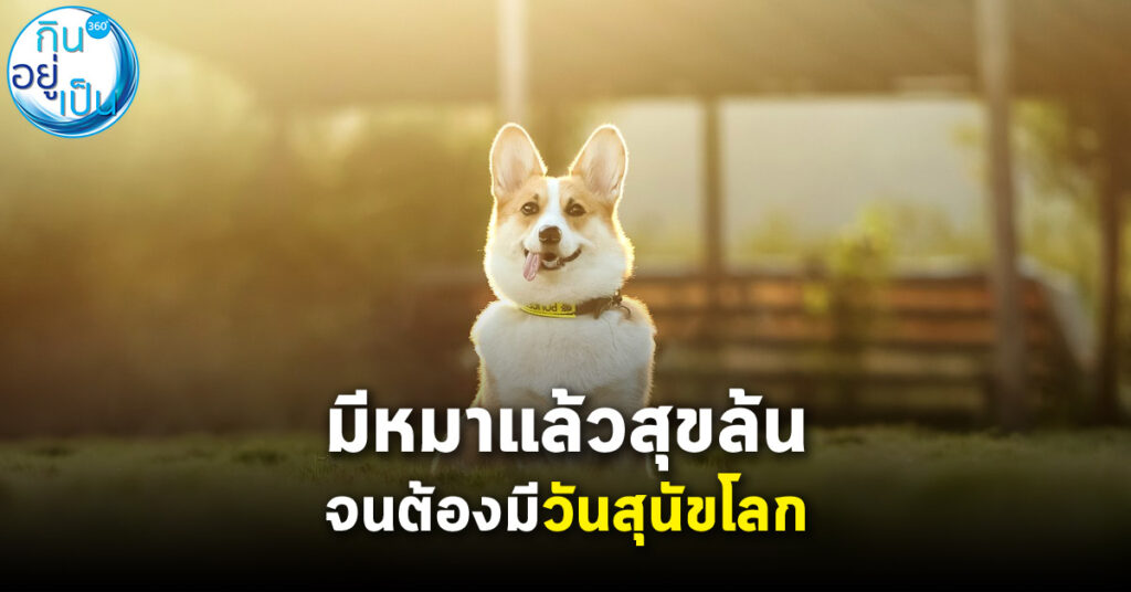 มีหมาแล้วสุขล้น สารพัดประโยชน์ของเจ้าตูบจนต้องมีวันสุนัขโลก - kinyupen