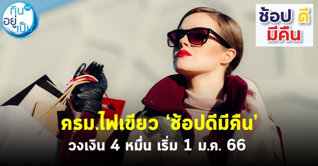 ครม.ไฟเขียว "ช้อปดีมีคืน" วงเงิน 4 หมื่น เริ่ม 1 ม.ค.66 - kinyupen