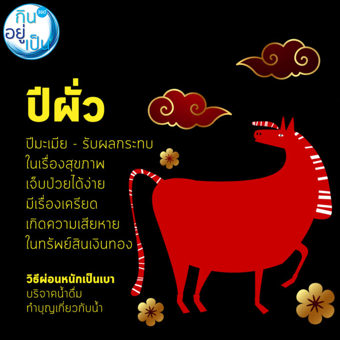 เช็คดวงปีชง 2566 ชงตรง-ชงร่วม รวมมาให้ครบ - kinyupen